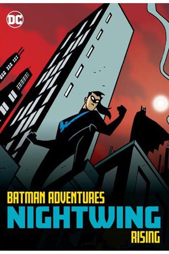 Batman Adventures: Nightwing Rising - Hillary Bader & Bo Hampton ...