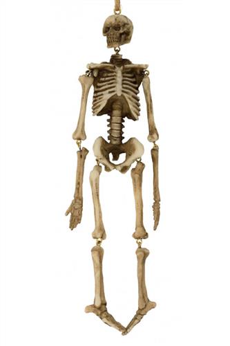 Skeletter og kranier | Dekoration og festartikler | Halloween ...