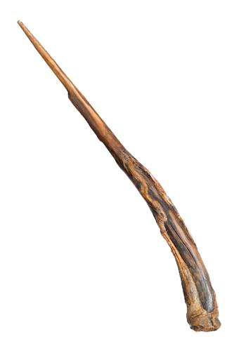 Harry Potter - Snatcher, Tryllestav - Character Wand, 29 cm. | Faraos ...