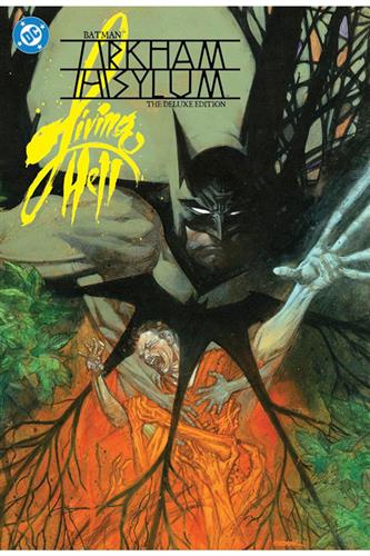 Batman: Arkham Asylum - Living Hell Dlx Ed HC - Dan Slott & Ryan Sook ...