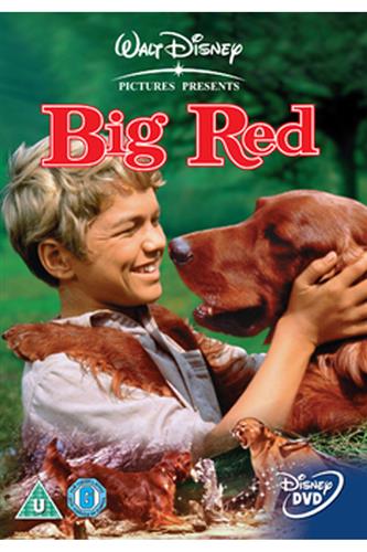 Big Red DVD - Drama - DVD - Walt Disney | Faraos Webshop