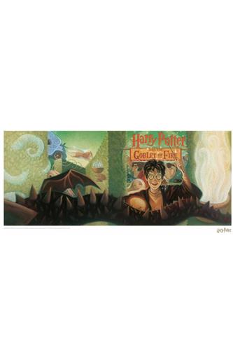 Harry Potter & The Goblet of Fire, Book Cover Artwork - Limited Edition ...